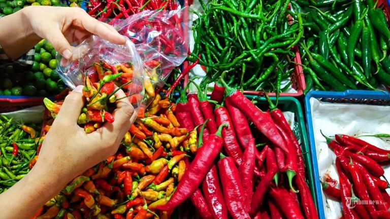 Pedasnya Harga Cabai Rawit Merah CapaiTitik Tertinggi di Pasar, Dampak El Nino? - FreeCareTips